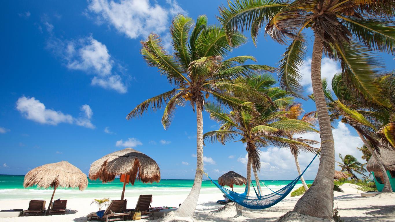 MS Luxury – Global concierge services